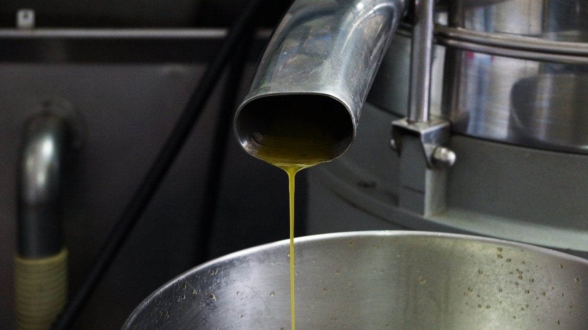 The Best Oil Extractor of 2025 [Review] - Roadologist